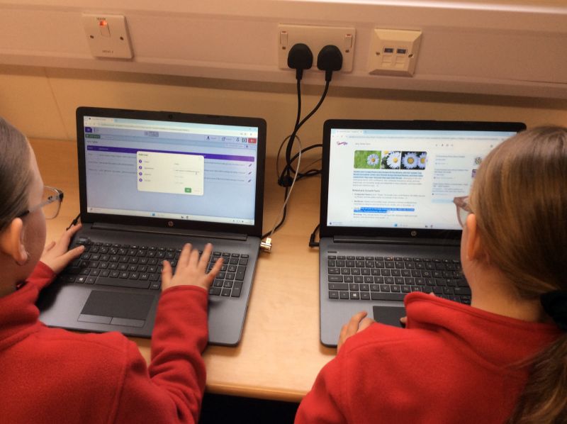 Famous Fives learn how to create databases in Computing... - Tankersley ...